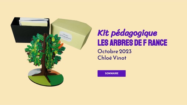 Vinot-Chloé-présentation-de-projet