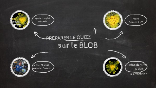TOUT SUR LE BLOB