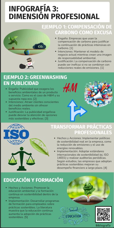 Infografía 3: Dimensión Profesional