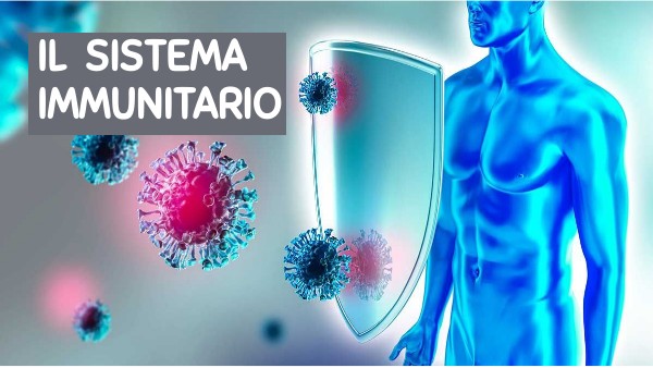 Il sistema immunitario (presentazione di biologia) a.s. 2023-2024