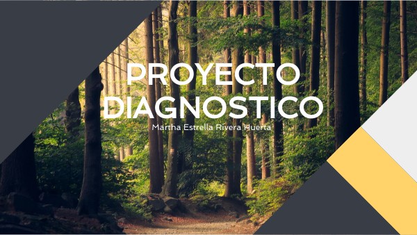 PRESENTACIÓN PROYECTO DIAGONAL