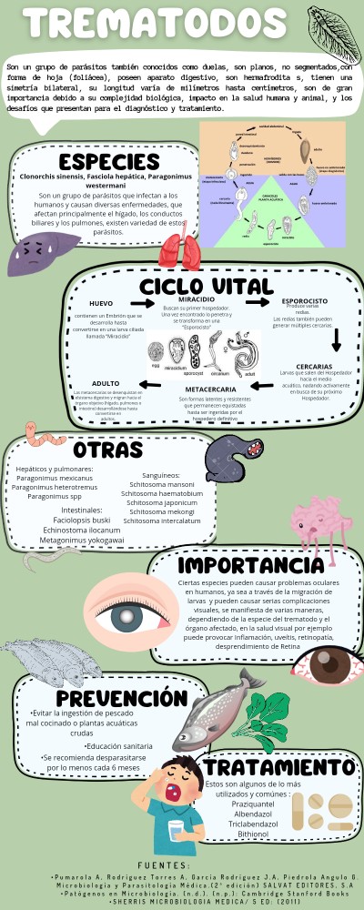 TREMATODOS UN ESTUDIO INFOGRÁFICO