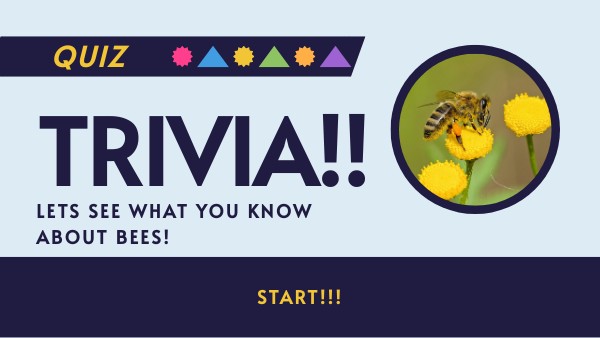 honey bee quiz | Genially