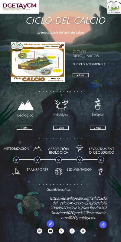 Infografía Ciclo del calcio