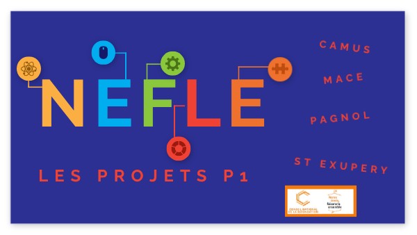 PROJETS NEFLE