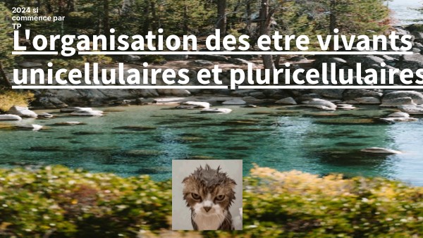Seconde TP1 Organisme pluricellul | Genially