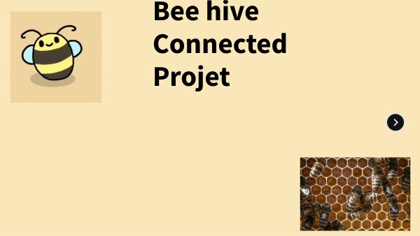 Bee hive connected project