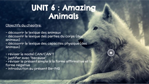 UNIT 6 - Amazing Animals 6e | Genially