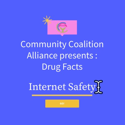 Internet Safety Flipcard | Genially