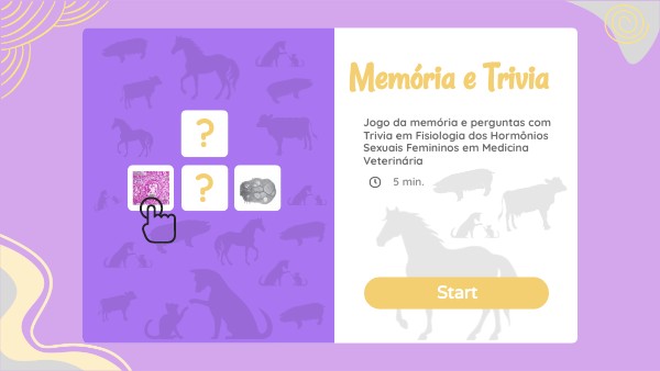 Cognitive Stimulation Game IV