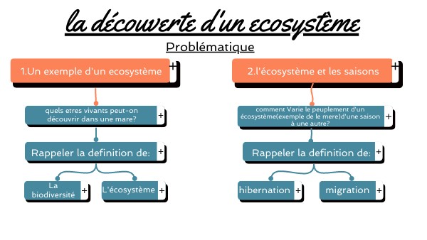 la découverte d'un écosystème | Genially