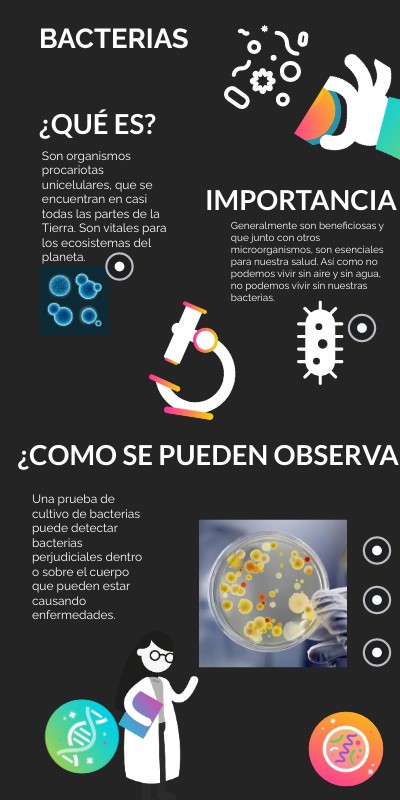 TIMELINE BIOLOGÍA VIBRANT | Genially