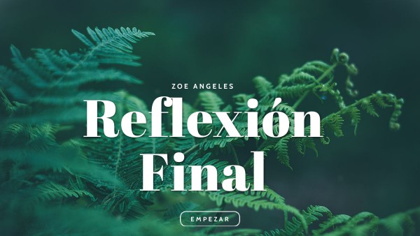 Reflexión Final