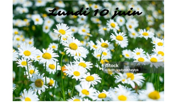 Copie - Lundi 04 juin