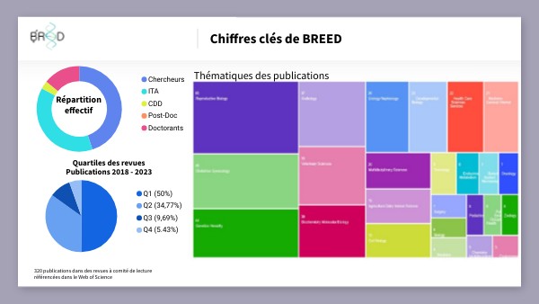 Chiffres clés | Genially