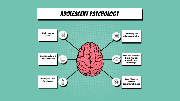 Adolescent Brain (T1/T2)