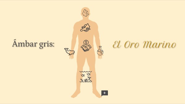 amabar gris