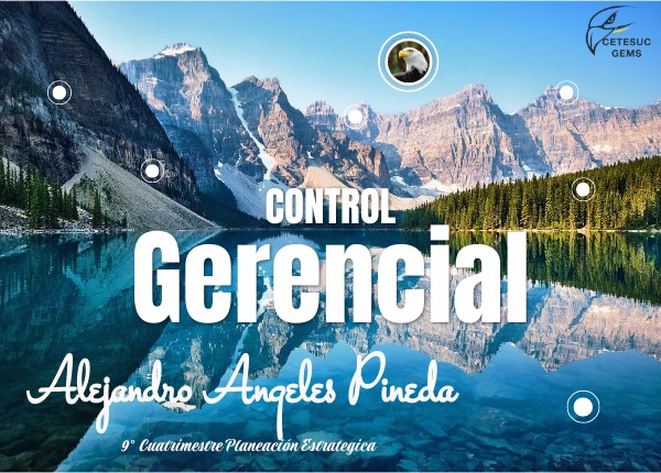 Control Gerencial