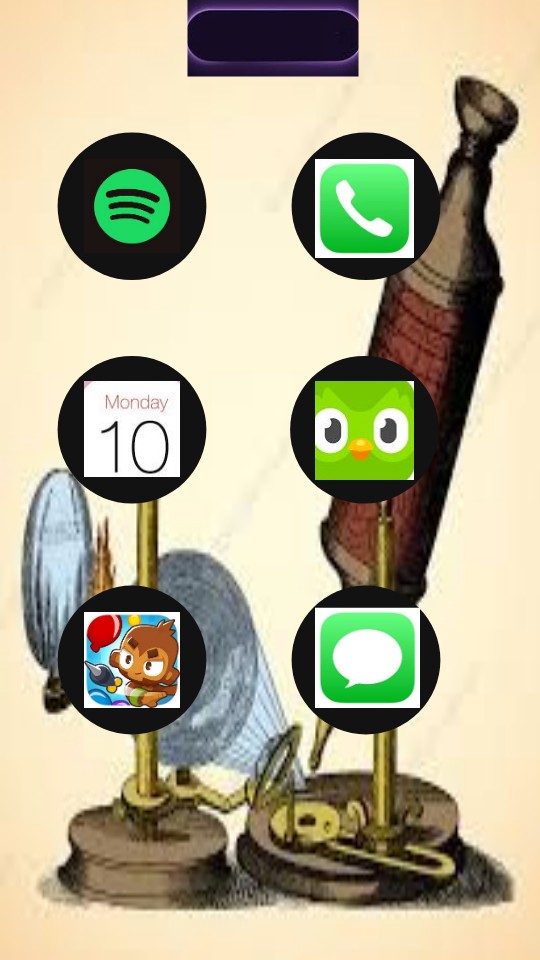 Robert Hooke Project