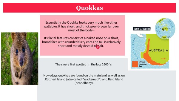 QUOKKAS