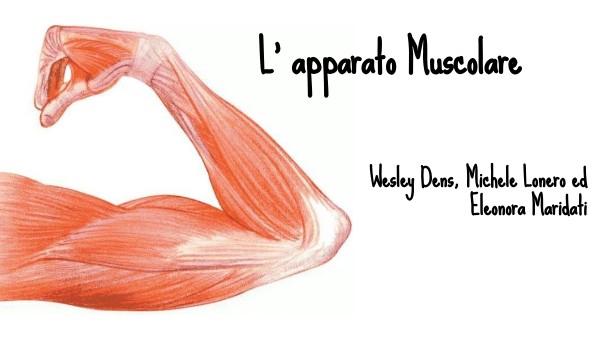 Progetto Muscoli