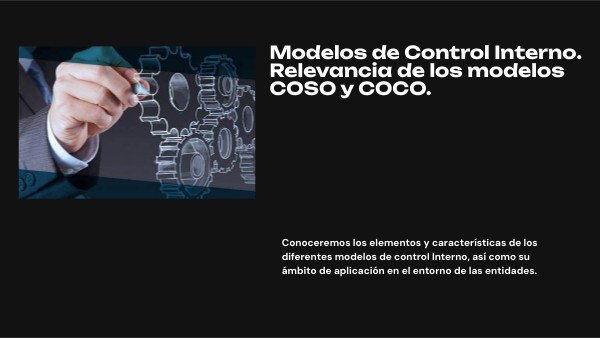 Presentación Sistemas de Control Interno Actividad 4
