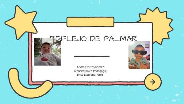 REFLEJO DE PALMAR