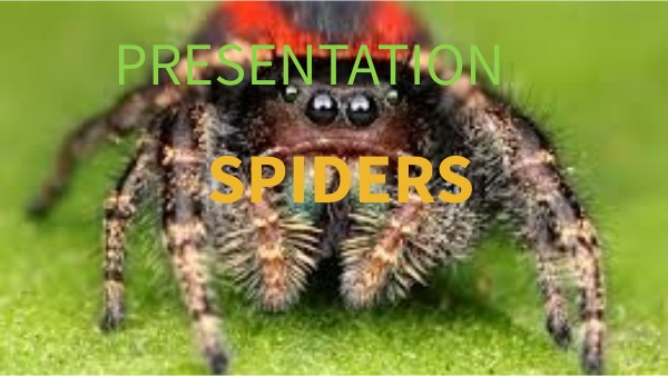 SPIDERS