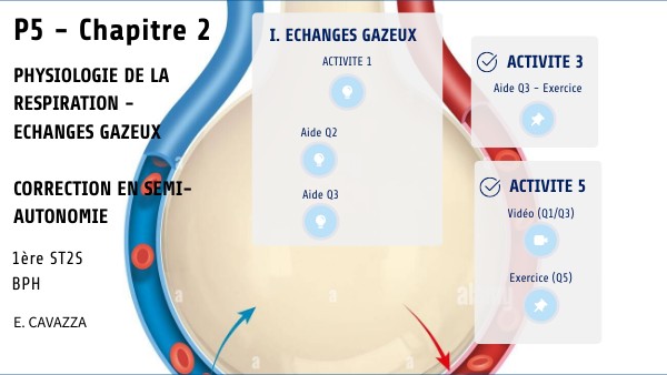 1ère ST2S - BPH Pole 5 Chapitre 2 | Genially
