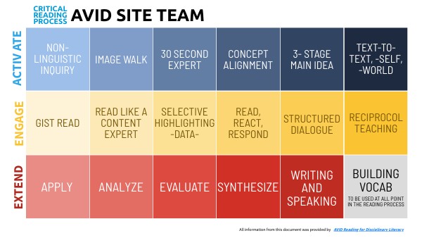 Critical Reading Process