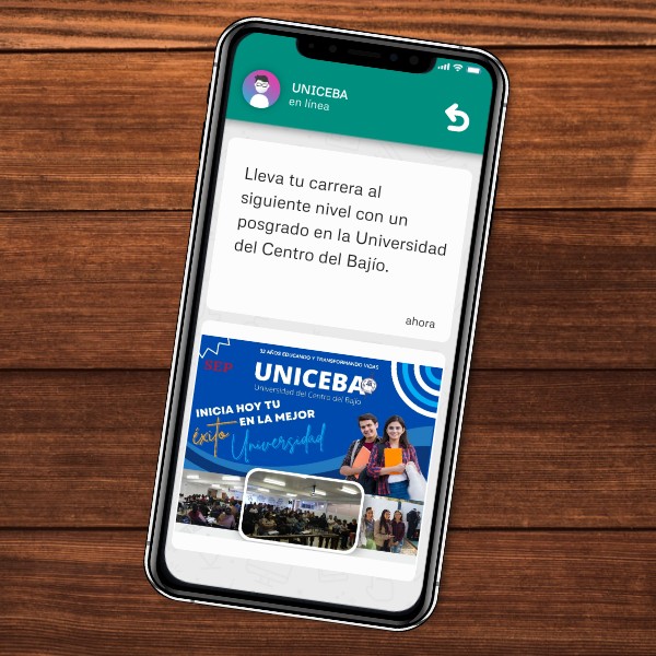 Posgrados - UNICEBA