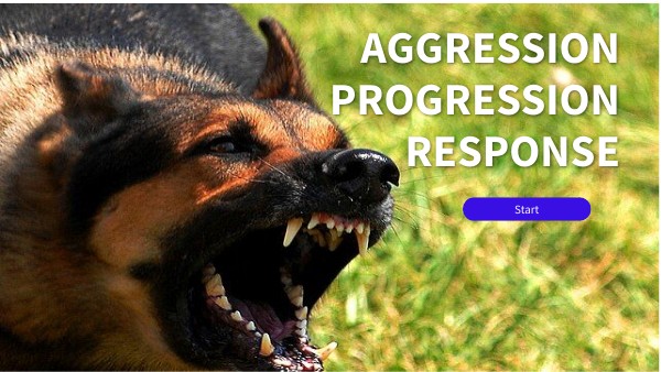 Aggression Progression Response