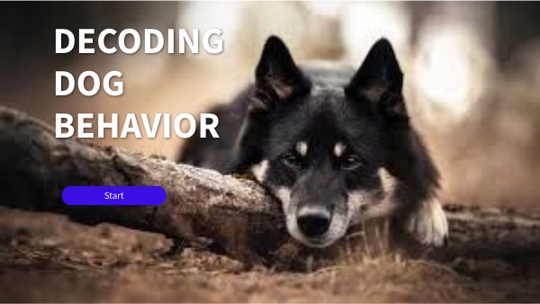 Decoding Dog Behavior