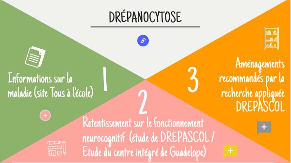 Drépanocytose | Genially