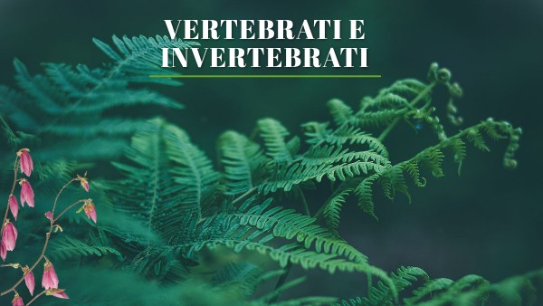 presentazione animali vertebrati e invertebrati | Genially