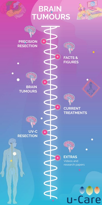 The brain RSSSE Infographics