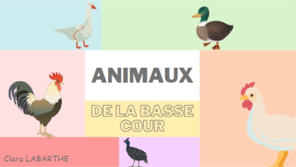 Exposé 2: Clara Labarthe: les animaux de la basse-cour