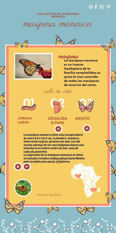 INFO VERTICAL MARIPOSAS
