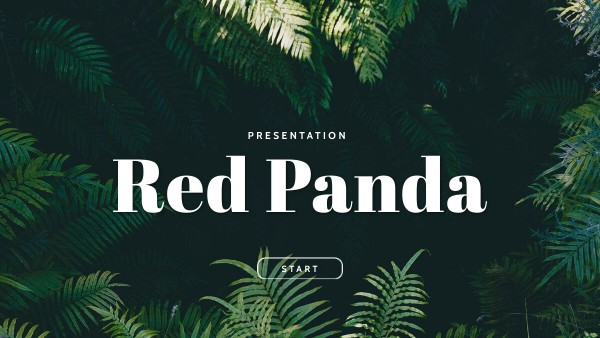 Red Panda | Genially