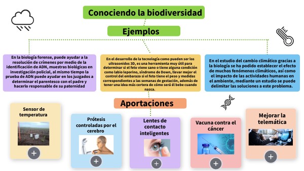 BIO_EA1_Palma_Lucero