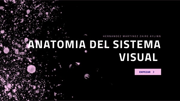 Anatomía del sistema visual