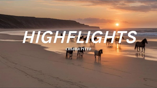 HIGH FLIGHTS PRESENTATION