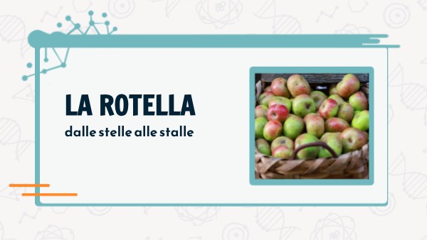 vit_presentazione d'esame 23/24 | Genially