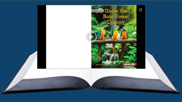Read Aloud: Under the Rainforest | Genially