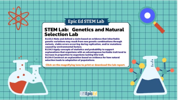 Bio B 3 STEM: Genetics & Nat. Sel