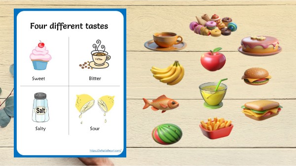 Four different tastes | Genially