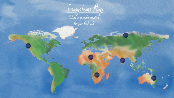 Food Web Ecosystem
