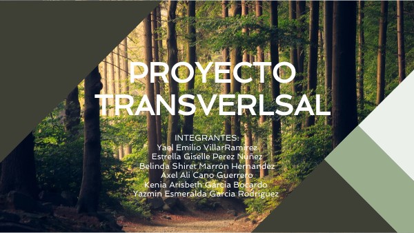 PRESENTACIÓN PROYECTO DIAGONAL