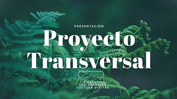 Proyecto Transversal