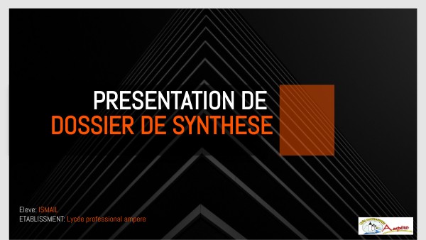 presentation oral de dossier de synthese